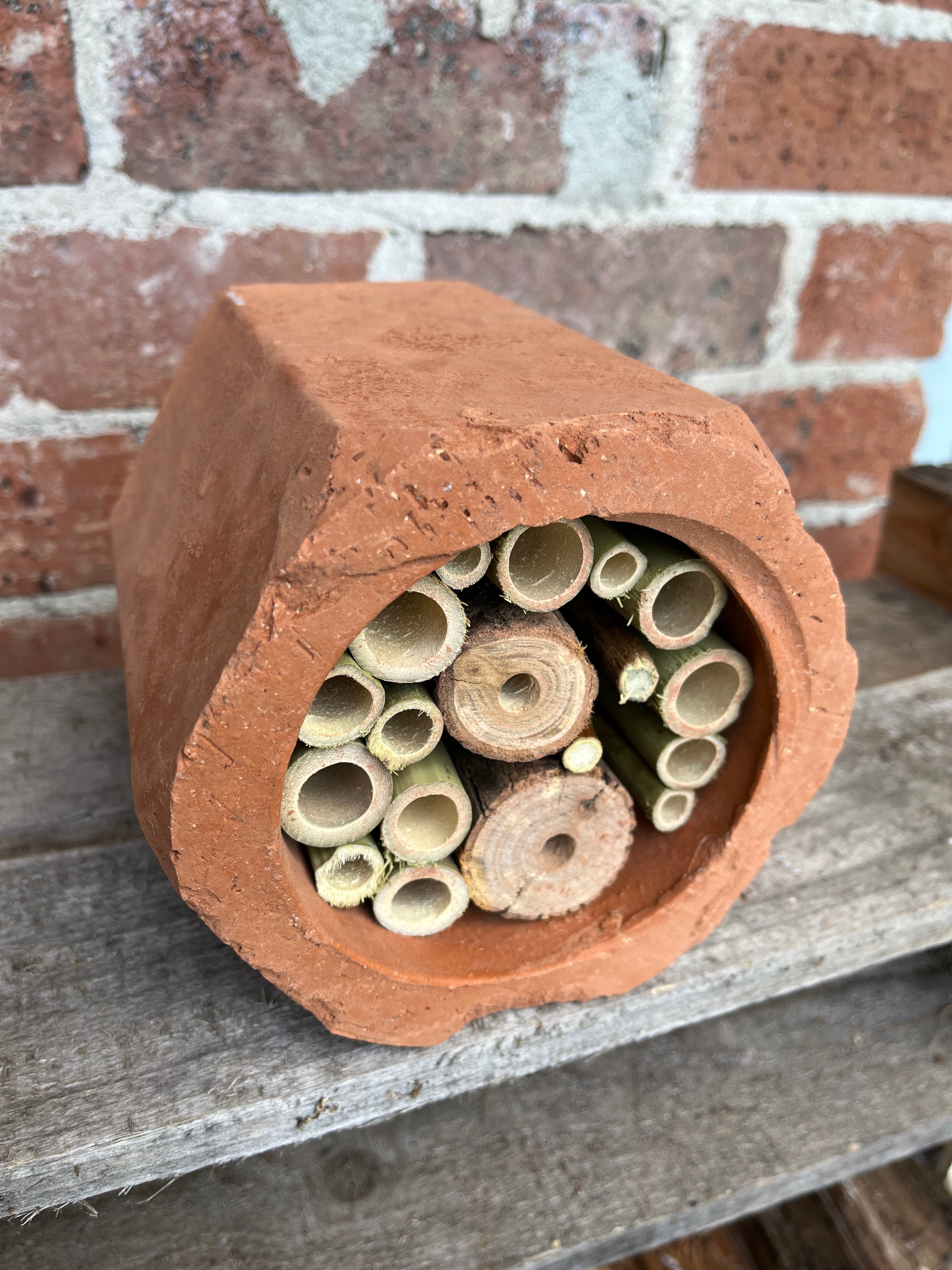 Native bee hotel – Rumbalara Bees